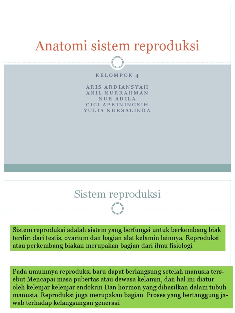 Anatomi Sistem Reproduksi Manusia | PDF