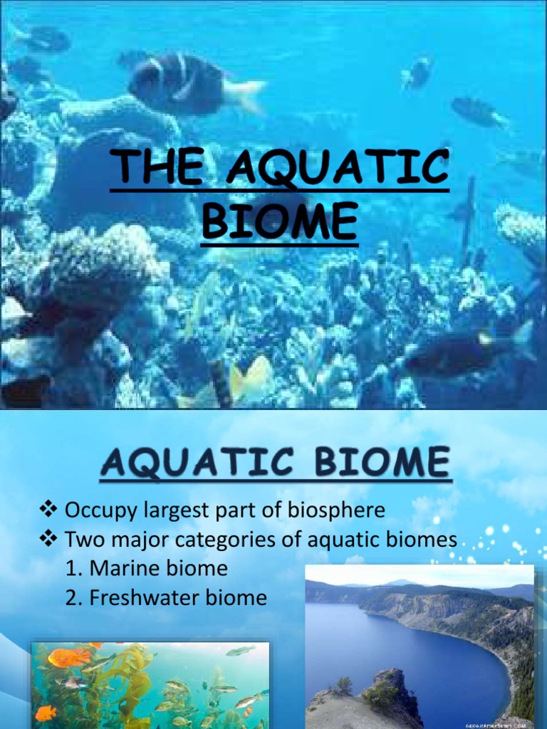 Aquatic Bio Me | PDF | Coral Reef | Estuary