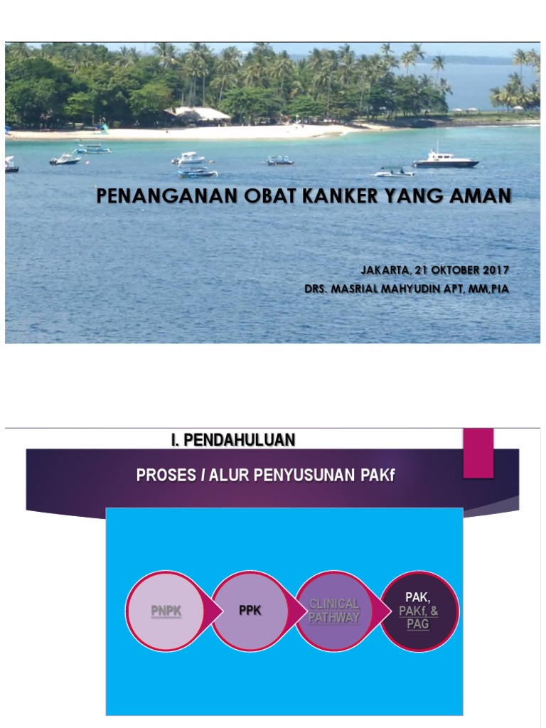 Penanganan Obat Kanker Pdf Public Health Medical Treatments