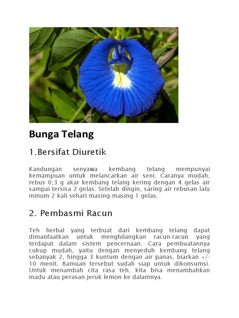 Bunga Telang | PDF
