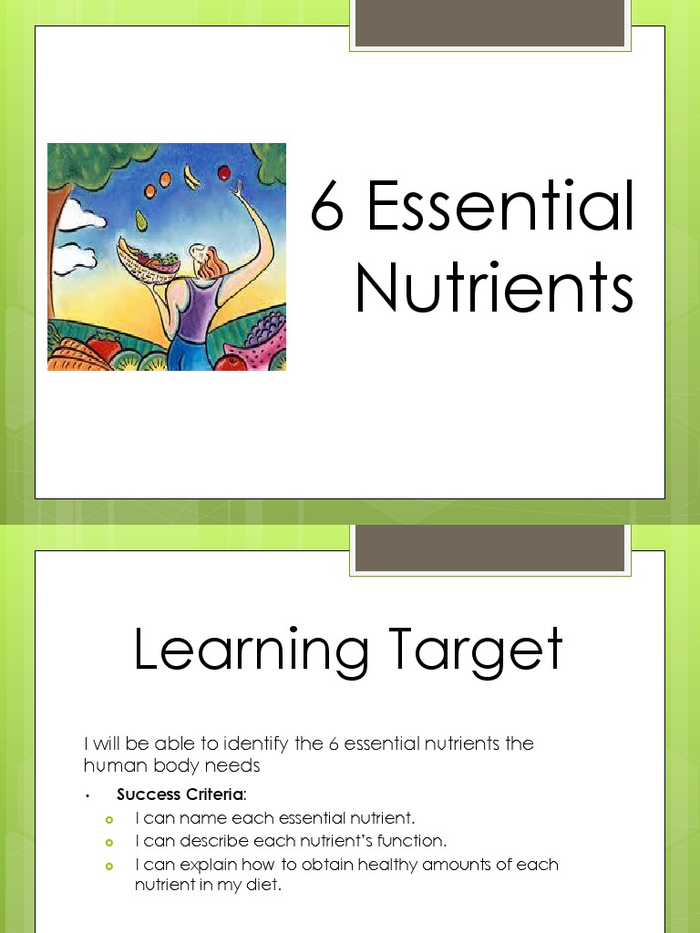 6 Essential Nutrients PDF | PDF | Fat | Nutrients