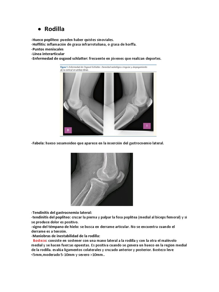 Semiologia Rodilla | PDF | Rodilla | Pie