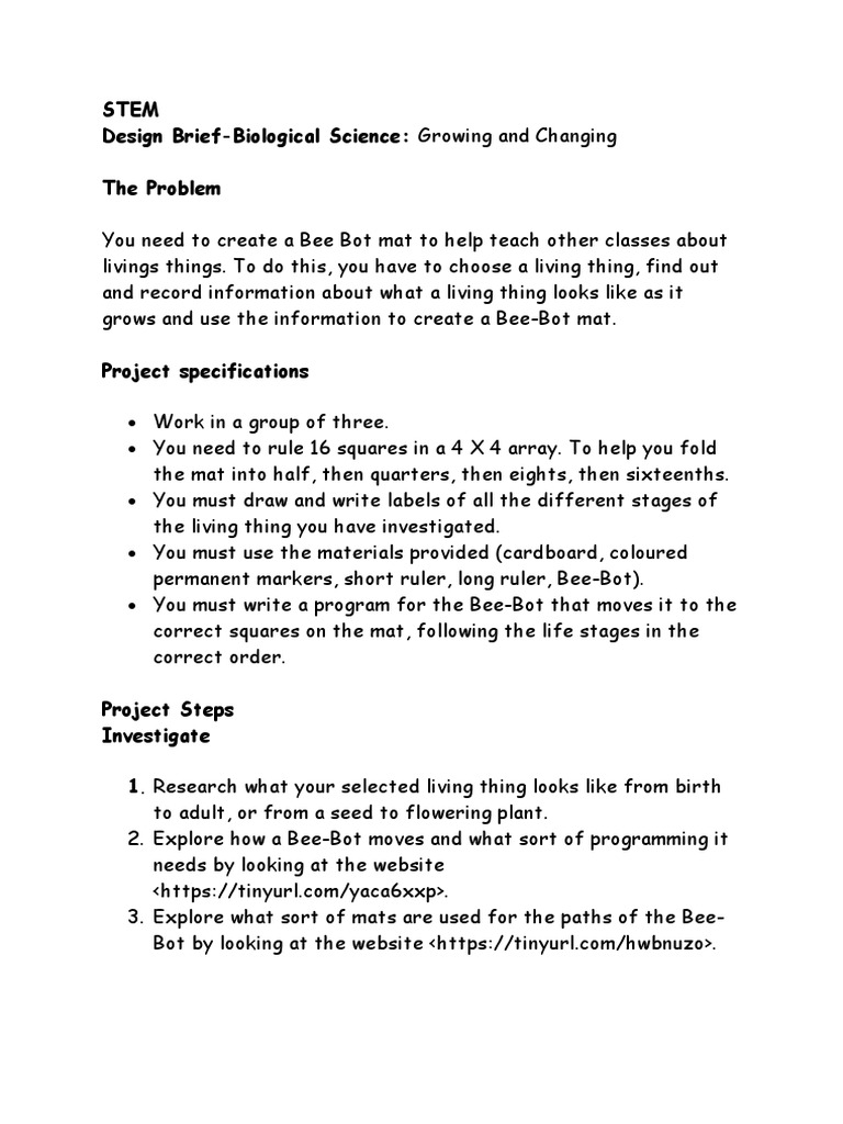 Stem Design Brief | Download Free PDF | Design | Science
