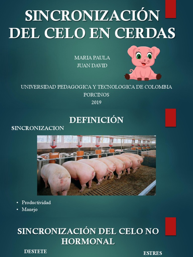 Sincronización Del Celo en Cerdas | PDF | Sistema endocrino | La salud ...