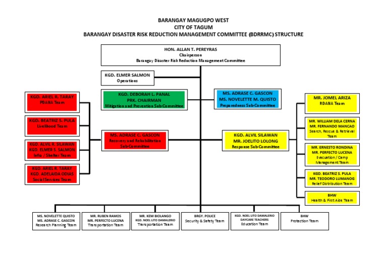 BDRRMC Structure | PDF | Security | Prevention