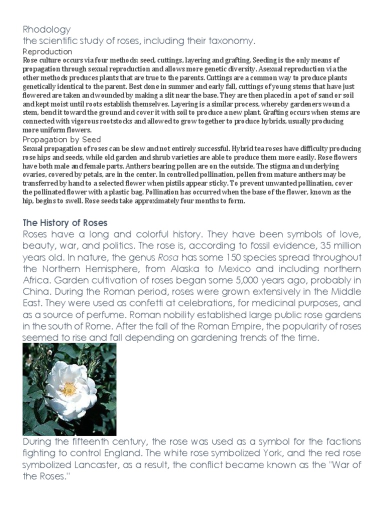 The History of Roses: Reproduction | PDF | Flowers | Rose