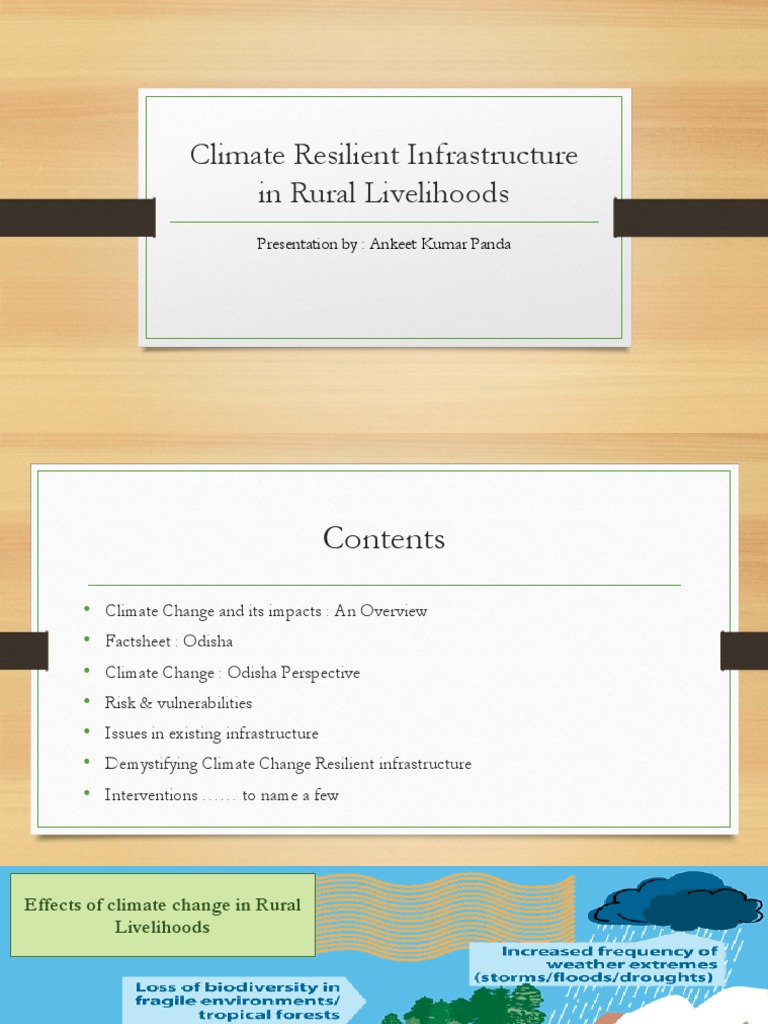 Climate Resilient Infrastructure | PDF