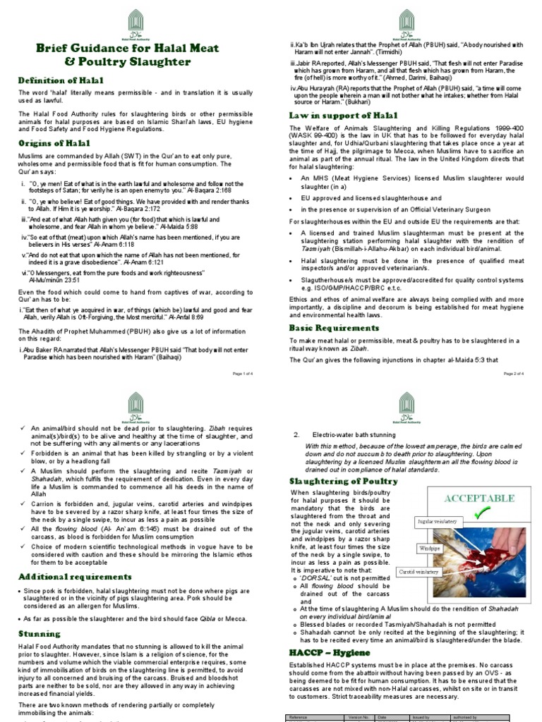 Brief Guidance For Halal Meat Pdf Animal Slaughter Animal Death