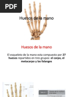 Anatomía de Huesos y Articulaciones de la Mano | PDF | Mano ...