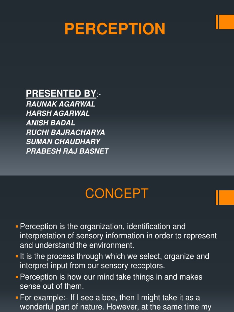 Ob Perception | PDF | Bias | Decision Making