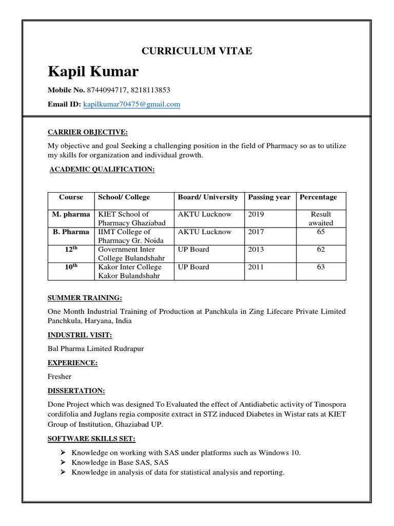 Kapil Kumar: Curriculum Vitae | PDF | Sas (Software) | Business