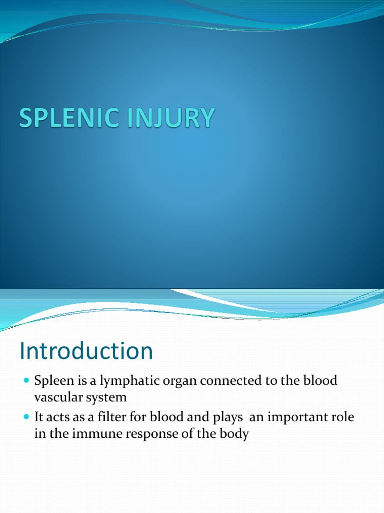 Anatomy Spleen | PDF | Spleen | Lymphatic System