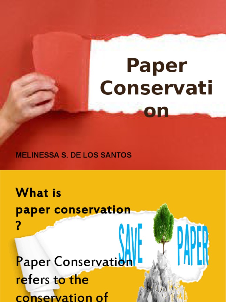 Digital Transition for Paper Conservation | PDF | Home & Garden