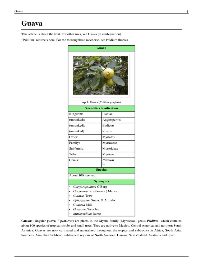 Guava Wikipedia en | PDF | Nature