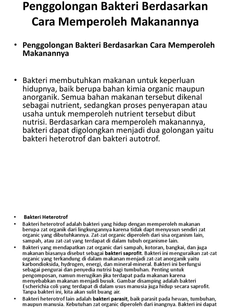 Bakteri dan Nutrisi: Klasifikasi Berdasarkan Sumber Energi | PDF Bakteri dan Nutrisi: Klasifikasi Berdasarkan Sumber Energi | PDF