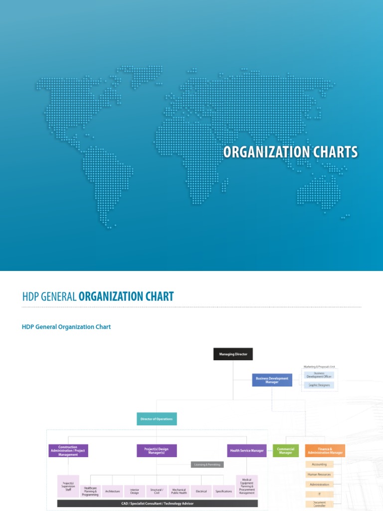 Healthcare Organization Charts Overview | PDF