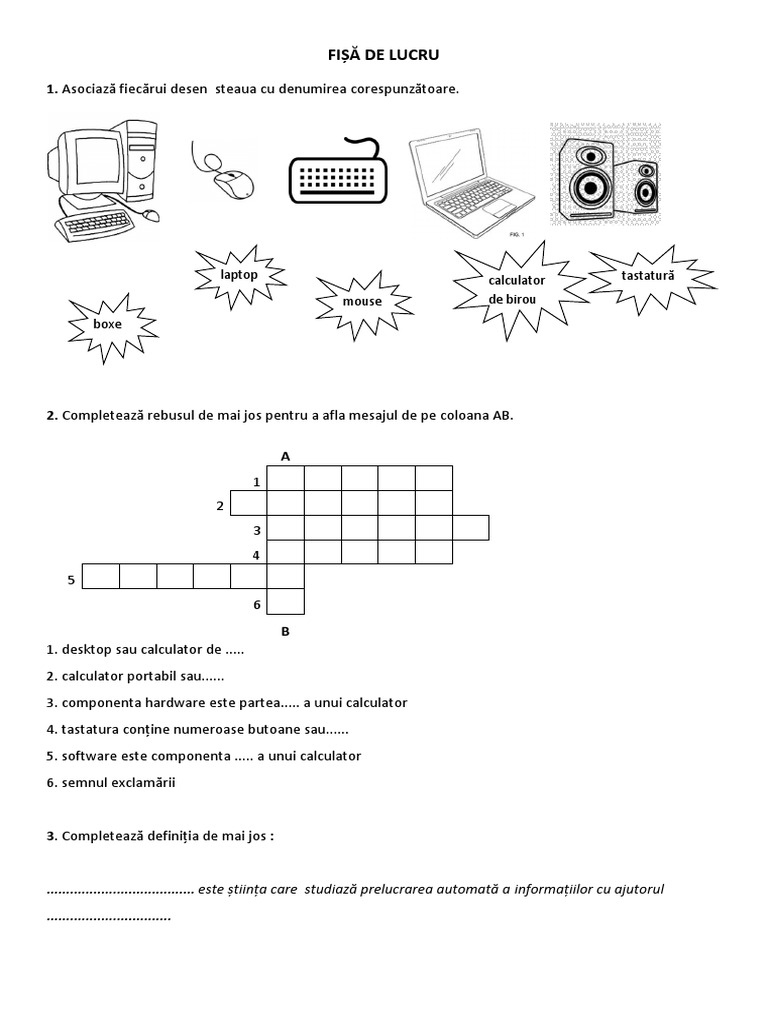 Fisa de Lucru Componentele Calculatorului | PDF