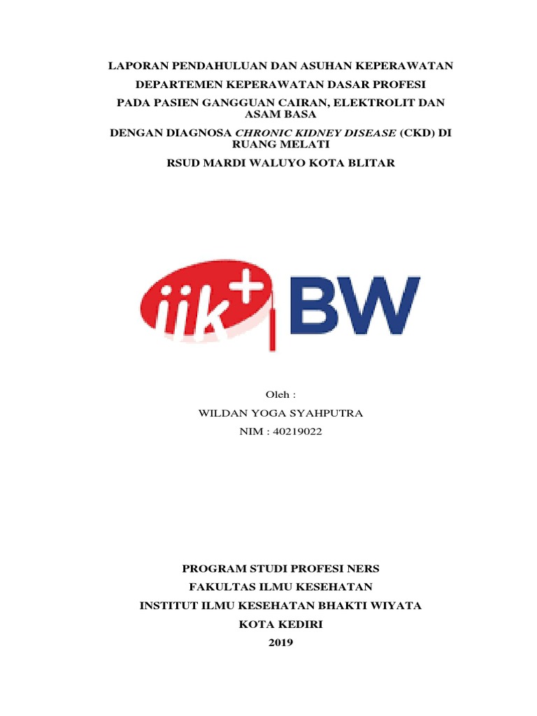 LP KDP Satu Revisi | PDF