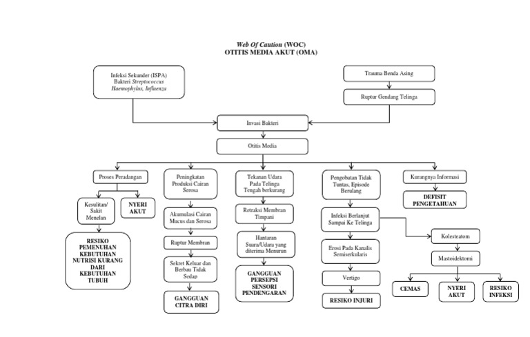 Woc Otitis Media Akut (Oma) | PDF