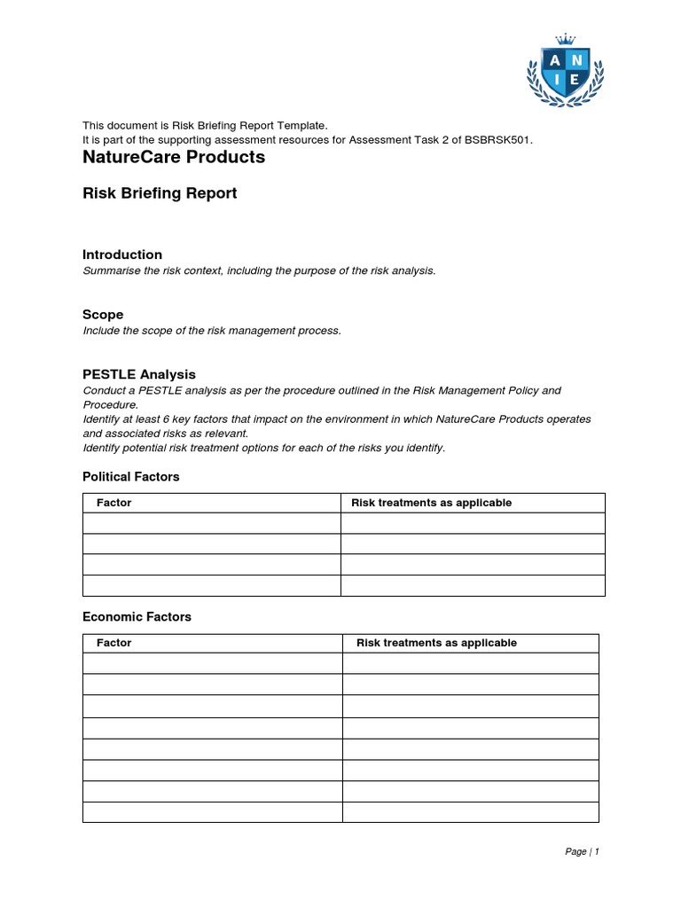 Risk Briefing Report Template