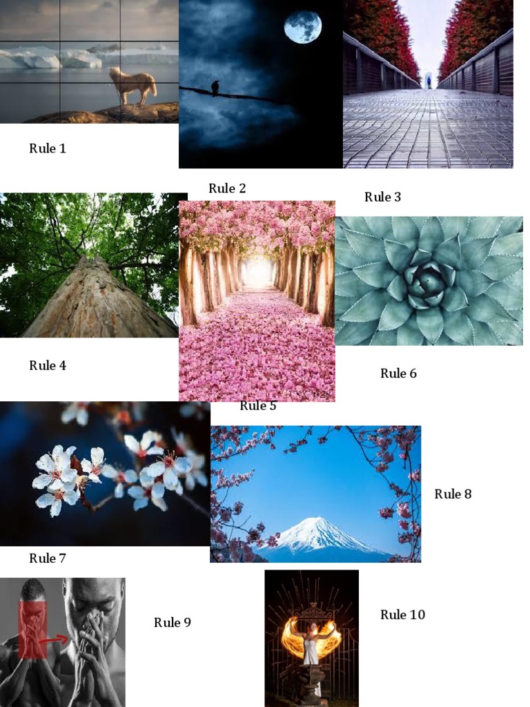 Comprehensive Guide to Rules 1-10 | PDF | Technology & Engineering