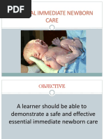 Mummy Restraint | PDF