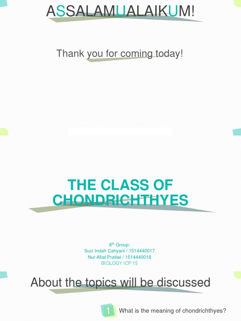 Suci Indah Dan Afiat Pratiwi-Class Chondrichthyes | PDF | Elasmobranchii | Sharks