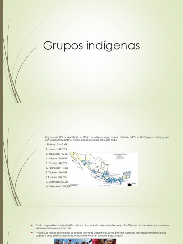 Los principales grupos indígenas de México: una mirada a su diversidad ...