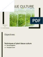 Downstream Processing | PDF | Insulin | Chromatography