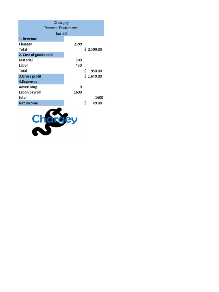 Chargey Income Statement Summary | PDF