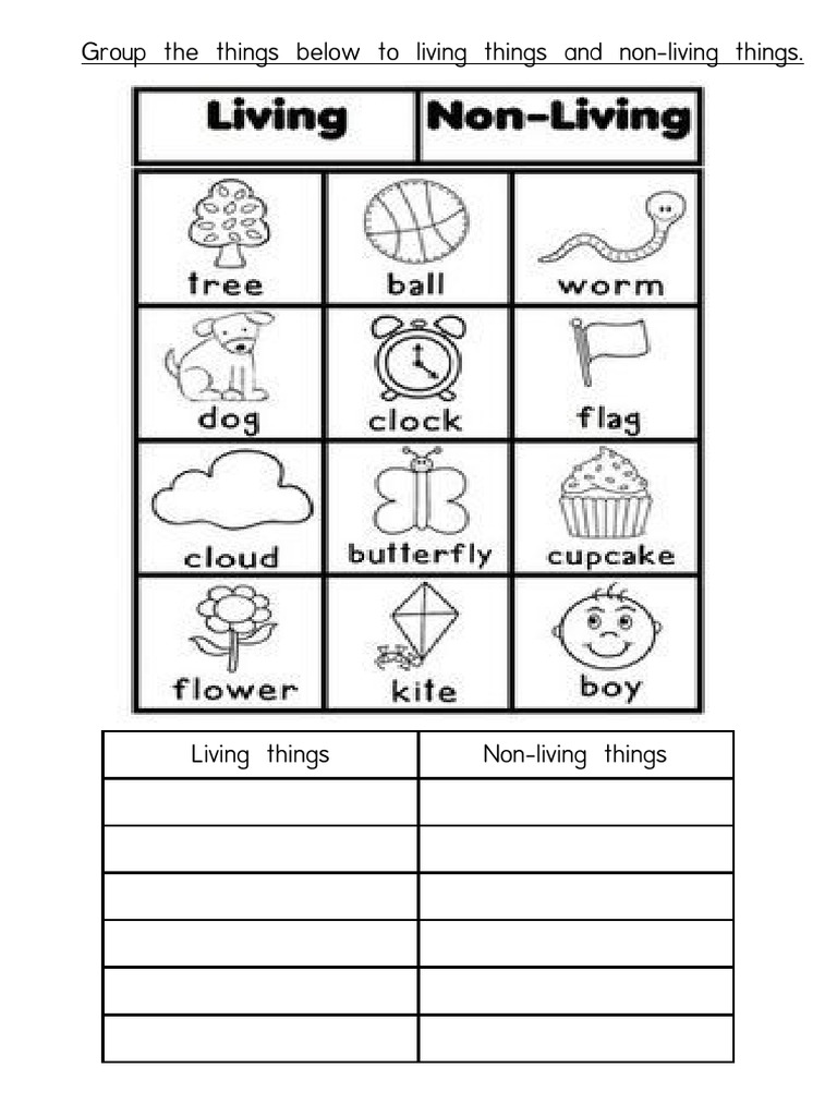 Classify - Living Things and Non | PDF