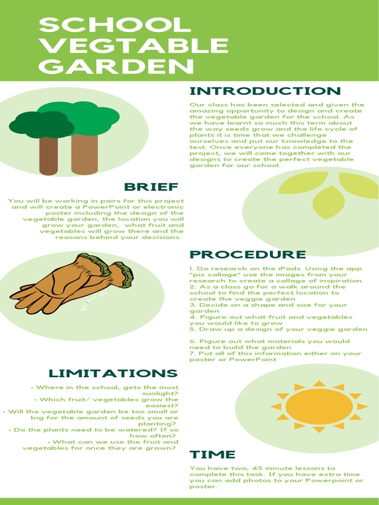 School Vegtable Garden | PDF | Vegetables | Environmental Design