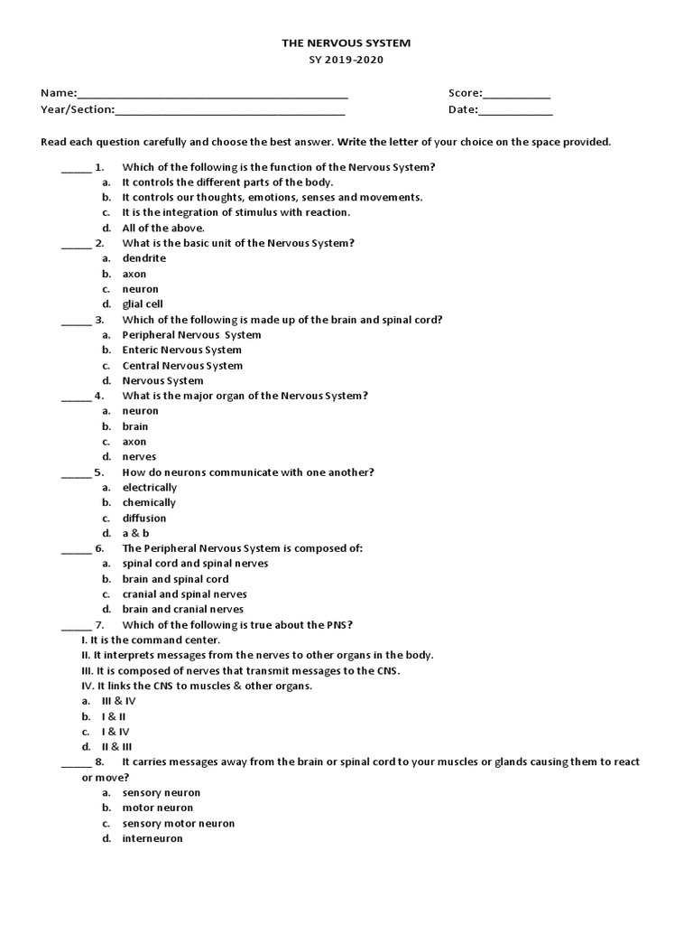 The Nervous System Test Final | PDF | Motor Neuron | Neuron