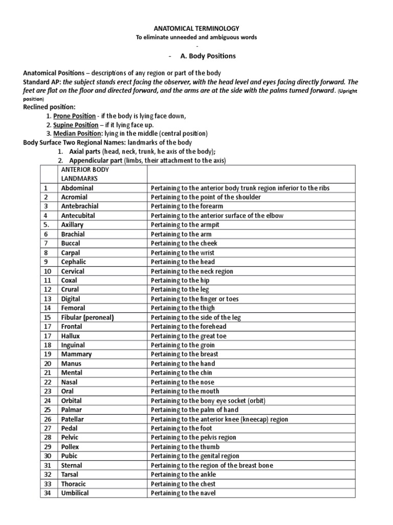 A. Body Positions | PDF | Anatomical Terms Of Motion | Anatomical Terms ...