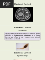 CAPÍTULO 17 - Prurigo Por Insectos (Cimiciasis) | PDF | Insecticida ...