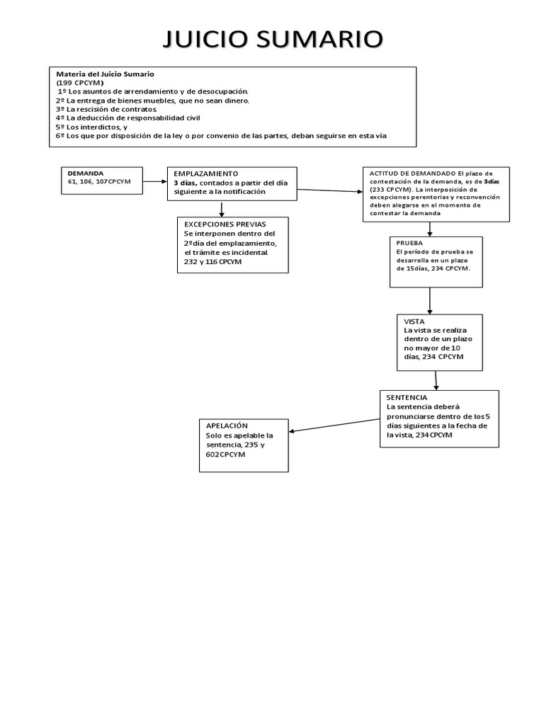 Esquema Juicio Sumario | PDF | Judicaturas | Derecho Civil (Common Law)