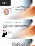 Modelo de Cuadrantes Cerebrales de Herrmann | PDF | Hemisferio cerebral ...