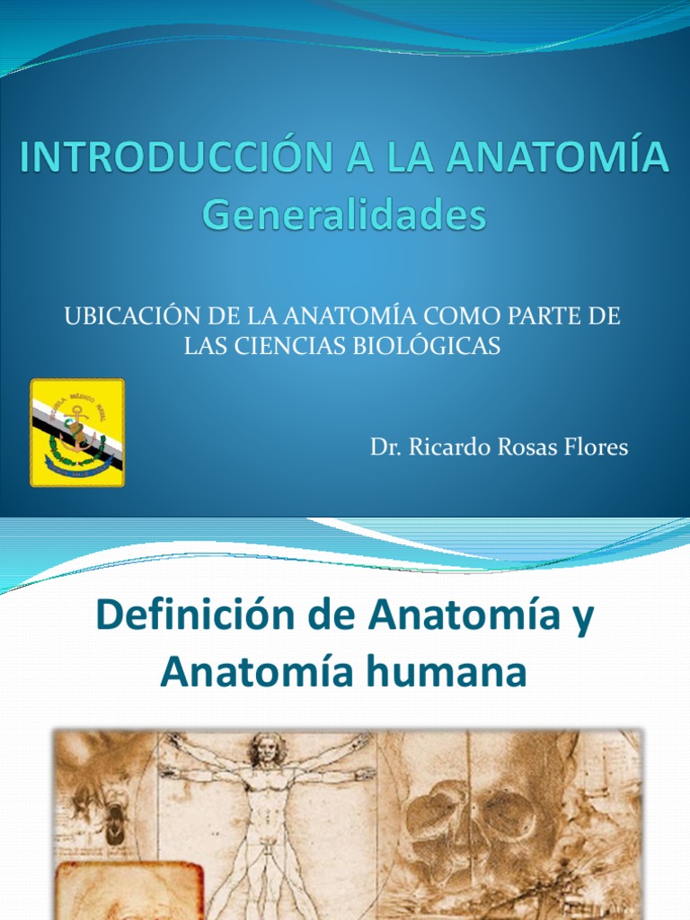 Introducción A La Anatomía 1 Pdf Cuerpo Humano Tejido Adiposo