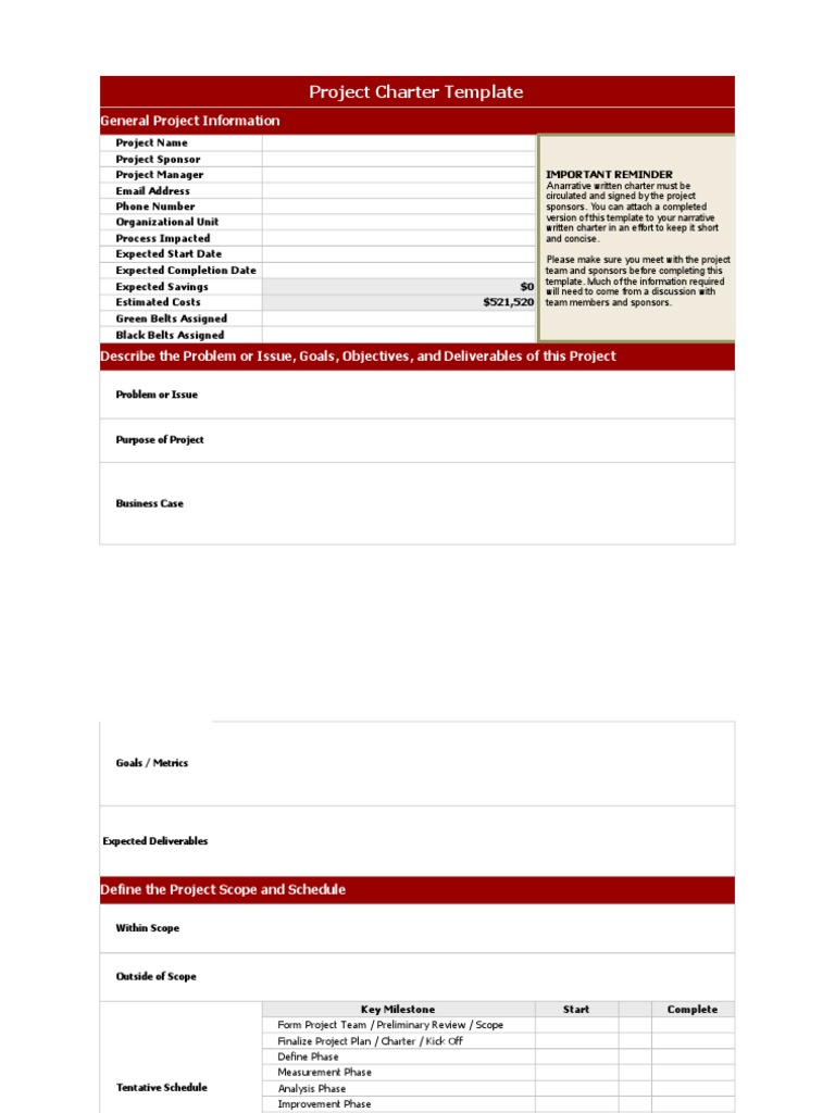 Project Charter Template | PDF | Risk | Economies