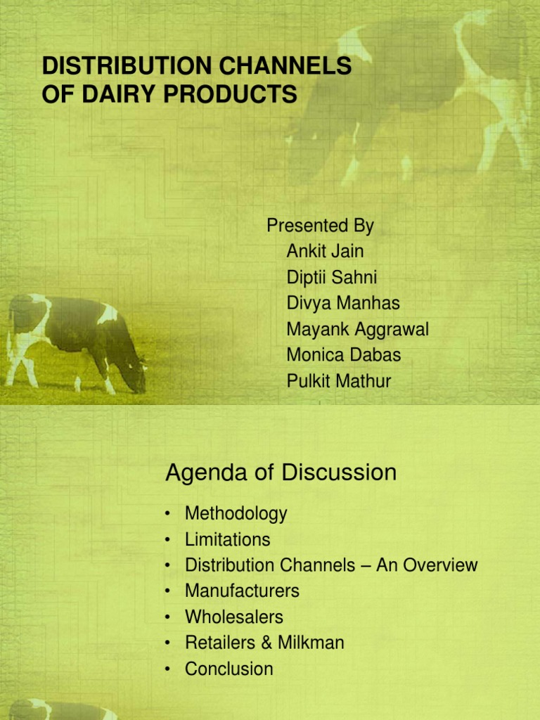 Distribution Channels of KMF | PDF | Retail | Milk