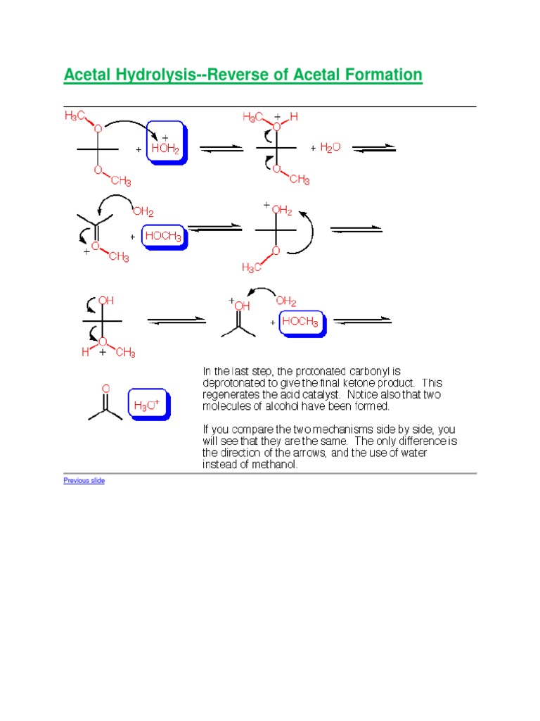 Acetal Hydrolysis - Reverse of Acetal Formation: Previous Slide | PDF