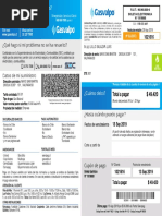 Boleta Cge | PDF | Economias