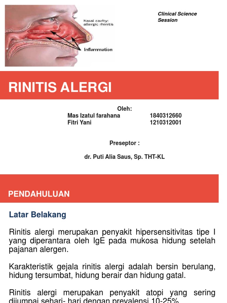 Css Rhinitis Alergi | PDF