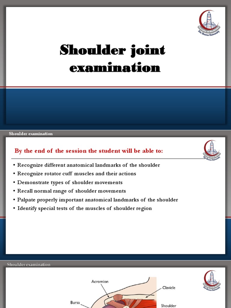 Shoulder | PDF | Anatomical Terms Of Motion | Shoulder