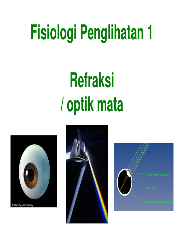 Fisiologi Penglihatan 1 | PDF | Human Eye | Cornea