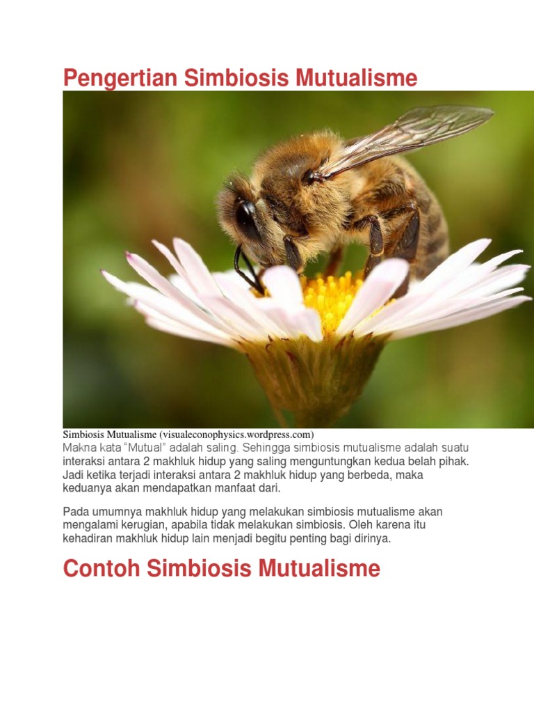 Simbiosis Mutualisme