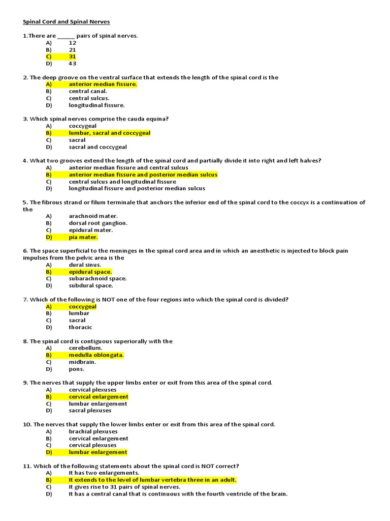 Anatomy of the Spinal Cord and Spinal Nerves: A 40-Question Multiple ...