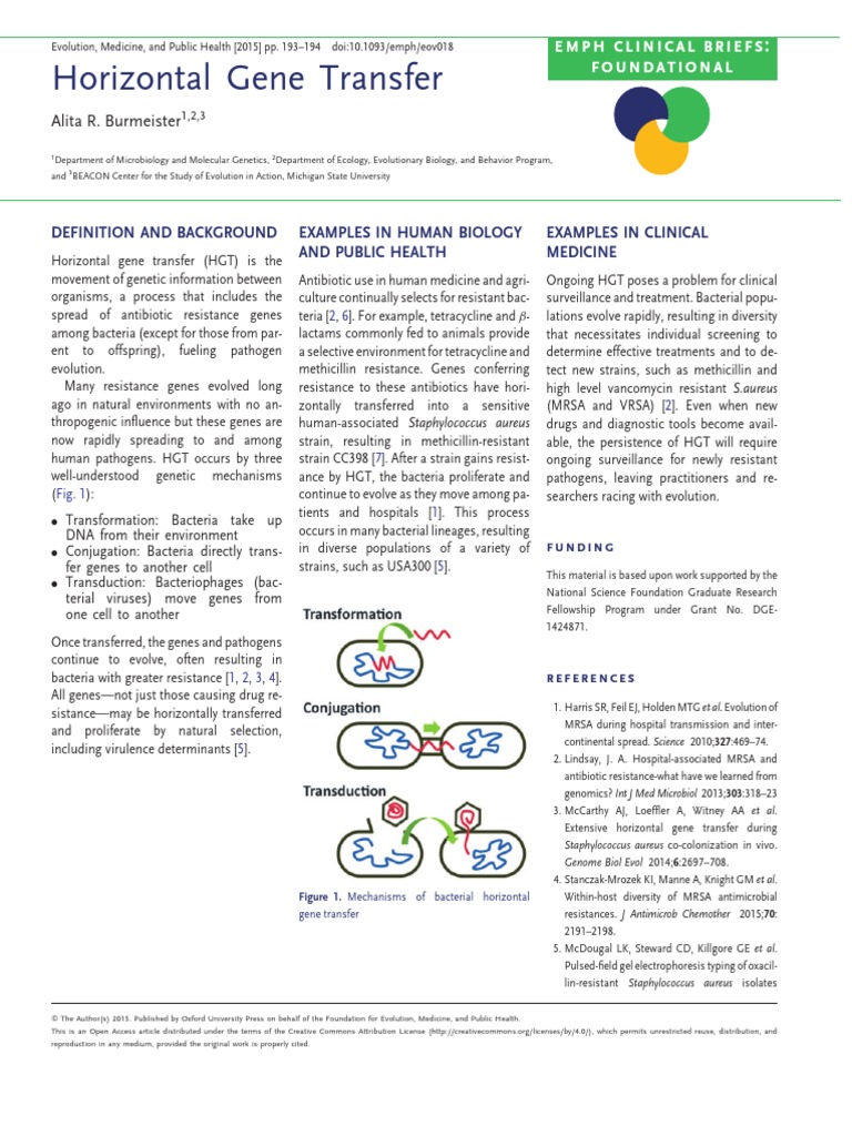 Horizontal Gene Transfer | PDF | Antimicrobial Resistance | Methicillin ...