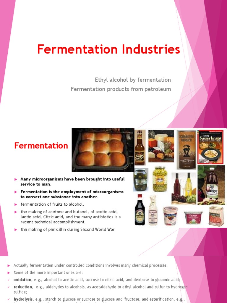 Industrial Fermentation Processes Explained | PDF | Ethanol | Fermentation