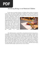 History Question Charts Helena | PDF | Question | Montessori Education